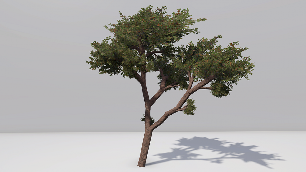 Acacia tree - Prefabs - XboxEra